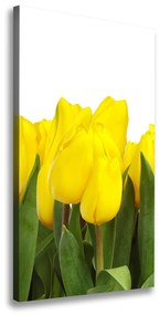 Wallmuralia Vertikální Foto obraz na plátně Žluté tulipány 50x100
