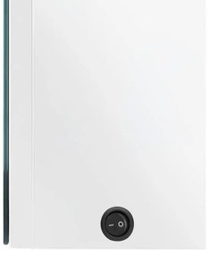 Petromila LED koupelnová skříňka se zrcadlem zářivě bílá 50 x 13 x 70 cm