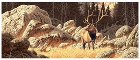Obraz jelena (120x50 cm), 40 dalších rozměrů