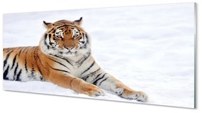 akrylový obraz Tiger winter 120x60 cm