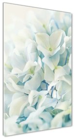 Wallmuralia Vertikální Fotoobraz na skle Květ hortensie 50x100