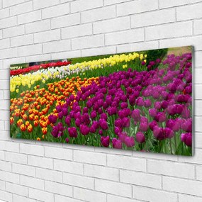 akrylový obraz Tulipány Květiny 125x50 cm