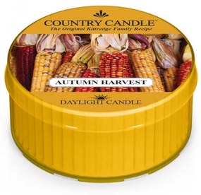 Country Candle Vonná Svíčka Autumn Harvest, 35 g