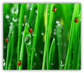 Skleněná krájecí deska Ladybug na trávě 60x52 cm