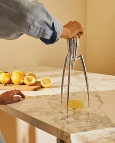 Odšťavňovač citronů "Juicy Salif" - Alessi