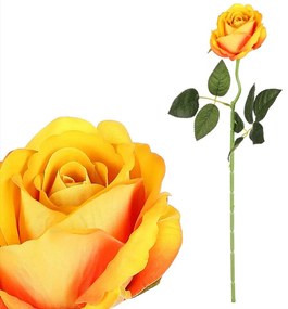 Růže KN6123 Žlutá