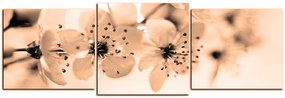 Obraz na plátně - Malé květy na větvi - panoráma 5173FD (90x30 cm)