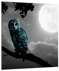 Obraz noční sovy (30x30 cm)