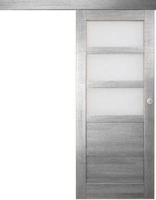 posuvné interiérové dveře na stěnu vasco doors BRAGA model 4 Průchozí rozměr: 70 x 197 cm, Orientace dveří: Levé dveře, Dekor: Dub stříbrný