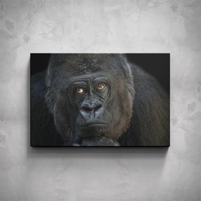 Obraz - Gorila - PopyDesign
