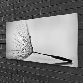 Obraz na skle Pampeliška Semínka 140x70 cm