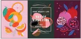 GALISON Puzzle Gray Malin 3v1 Naděje, krása, život / 3x120 dílků