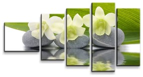 Sablio Obraz - 5-dílný Bílá orchidej - 100x60 cm
