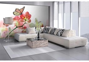 DIMEX | Vliesové fototapety na zeď Motýli a orchideje MS-5-0146 | 375 x 250 cm| bílá, vícebarevná