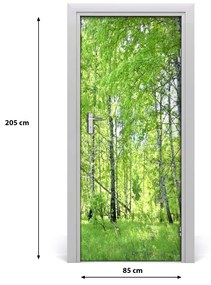 Fototapeta na dveře břízový les 85x205 cm