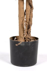 Dekorativní umělá Palma Hawaj - 180 cm