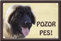 Plechová cedulka Pozor pes Leonberger