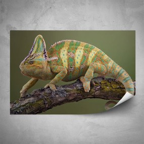 Plakát - Chameleón na větvičce (60x40 cm) - PopyDesign