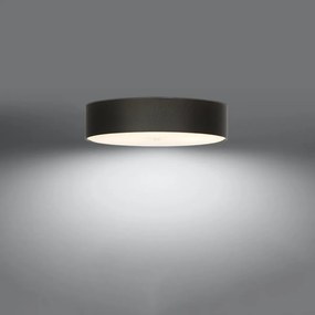 Sollux Lighting Stropní svítidlo SKALA 50 černé