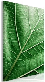 Obraz - Malachite Leaf (1 Part) Vertical