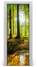 Fototapeta na dveře samolepící slunce v lese 95x205 cm