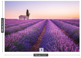 Fototapeta Provence levandule 104x70