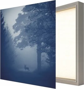 Led Podsvícený Obraz Jelen rámeček stříbrný Canvas Slim 30x40 cm napájecí adaptér
