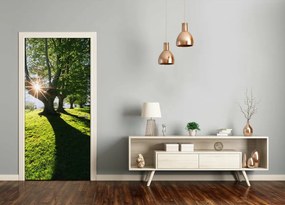 Fototapeta na dveře park 95x205 cm