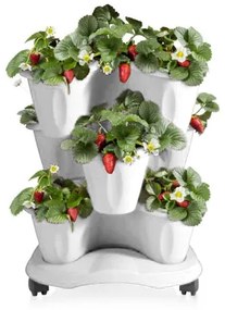 Květinová kaskáda na kolečkách Trifoglio bílá, 40 x 51 x 40 cm