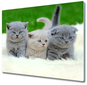 Skleněná krájecí deska Tři kočky na deku 60x52 cm