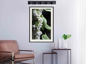 Plakát Květinový detail - botanická kompozice s bílými květy a listy na černém pozadí