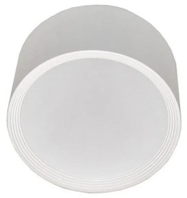 LED Stropní svítidlo PERCI LED/30W/230V IP40 2700K bílá