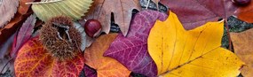 Běhoun na stůl - Podzimní listí, 40x140cm, TS 013