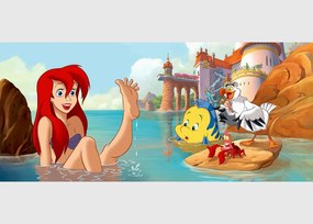 Dětská vliesová fototapeta na zed' Proměna Ariel, Disney | 202 x 90 cm | DFTDNH 5363