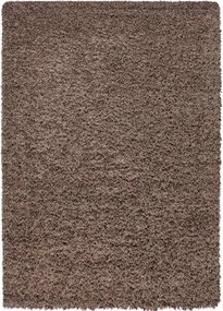 Koberce Breno Kusový koberec DREAM SHAGGY 4000 Mocca, Hnědá, Vícebarevné, 120 x 170 cm