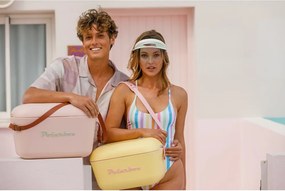 Chladicí box v petrolejové barvě 12 l Classic – Polarbox
