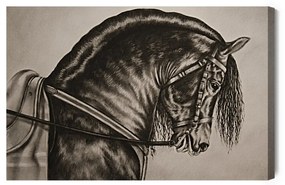Obraz Načrtnutý Kůň Nedostatek Nedostatek Přírodní plátno 100x70