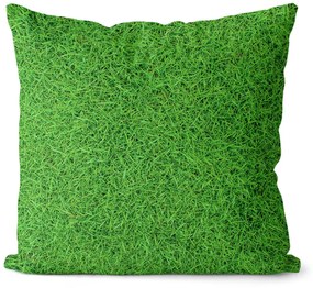 Polštář Grass (Velikost: 40 x 40 cm)