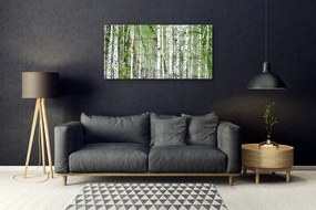 Obraz na skle Bříza Les Stromy Příroda 140x70 cm