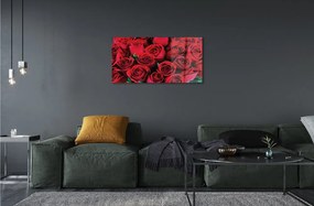 Obraz na skle Růže 100x50 cm