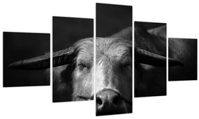 Obraz - Kráva (125x70 cm)