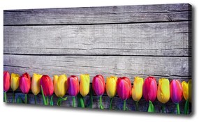 Wallmuralia Foto obraz na plátně Tulipány na stromě 100x50