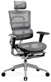 Ergonomická židle DIABLO V-MASTER: černo-šedá