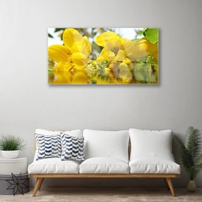 Obraz na skle Květiny Rostlina Příroda 100x50 cm