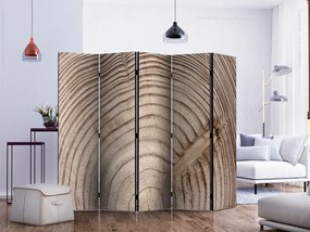 Pokojová zástěna Sklenice dřeva II - jasná textura hnědého dřeva s výraznými proužky