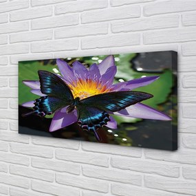 Obrazy na plátně motýl květina 125x50 cm
