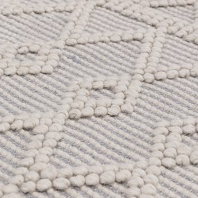 Tribeca Design Kusový koberec Whiskers Grey Rozměry: 120x170 cm