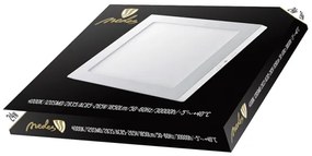 LED Stropní svítidlo LED/24W/230V 4000K