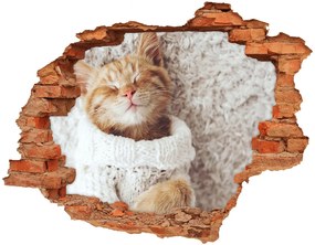 Wallmuralia Samolepící nálepka beton Kočka ve svetru 90x70 cm