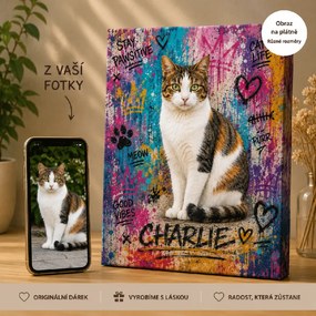 Foto obraz z vlastní fotky na plátno – Street Art portrét mazlíčka z fotky Rozměry obrazu: 70 x 100 cm